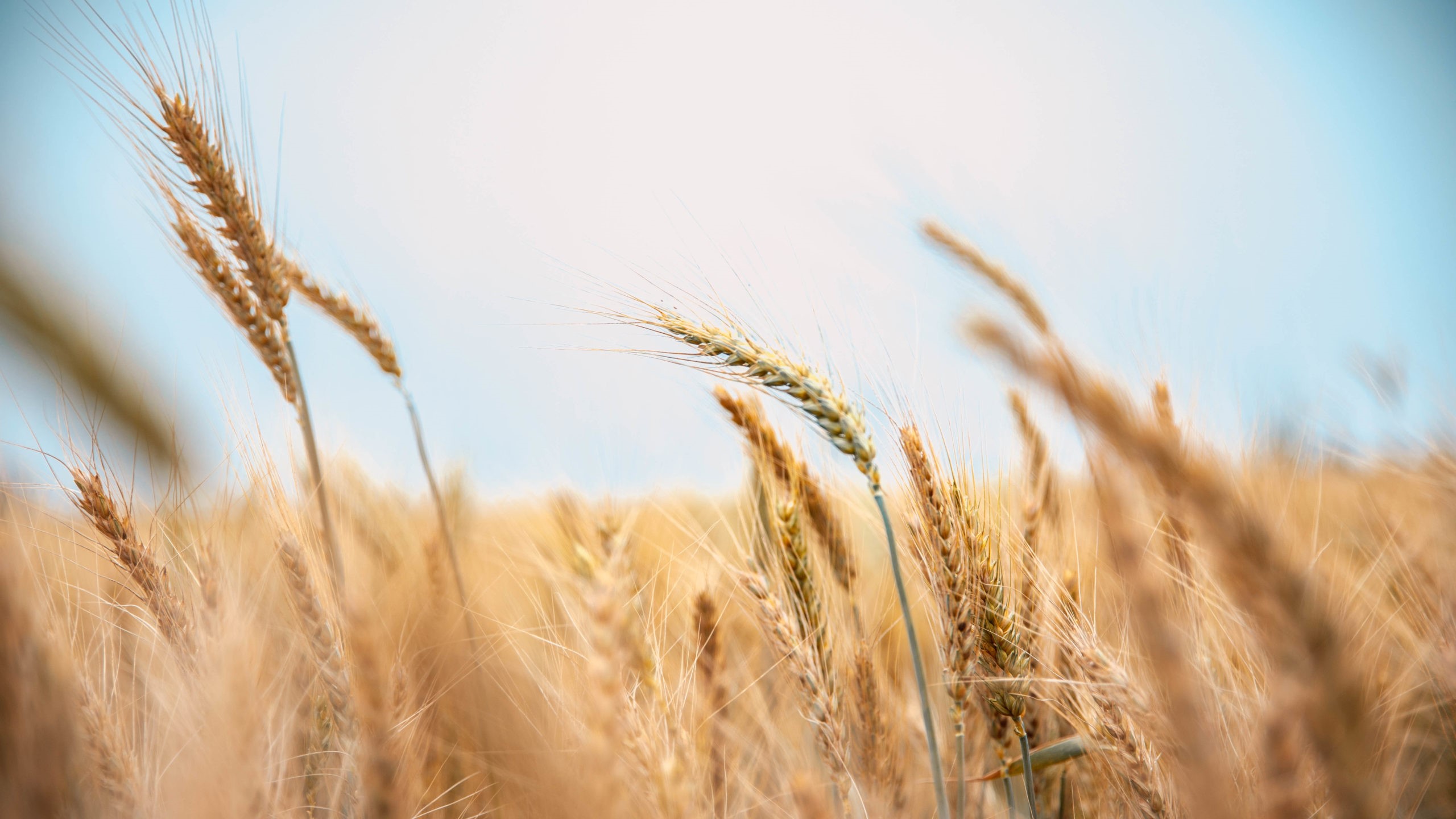 Iyar 5785 / April 2025 - JFCS of SNJ